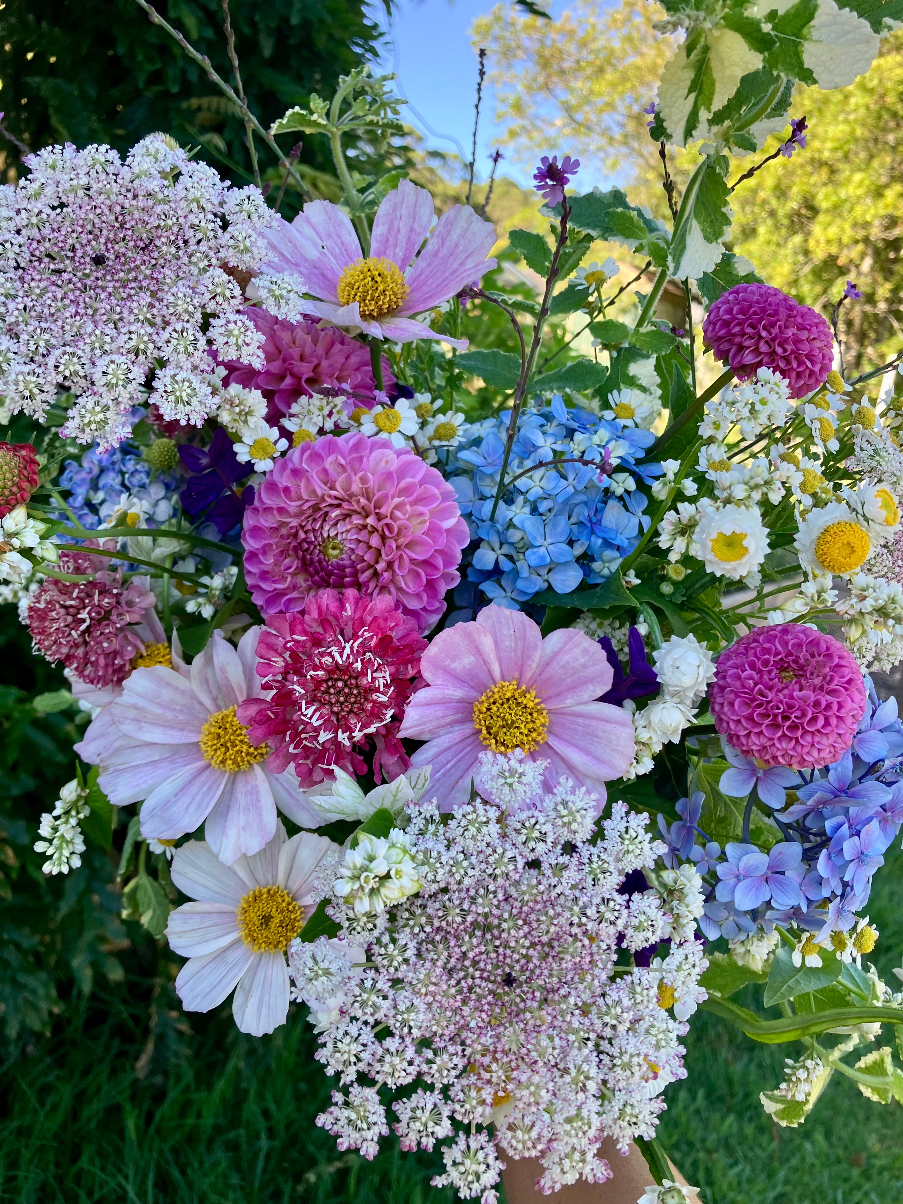 Farm Bunches – No Fluff, Just Proper Flowers – Petal & Bee Flower Farm